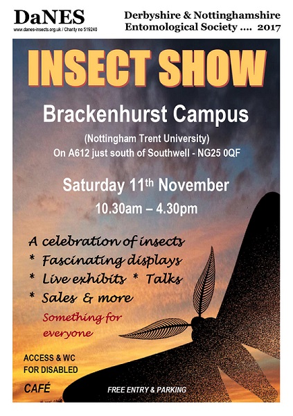 Derbyshire & Nottinghamshire Entomological Society